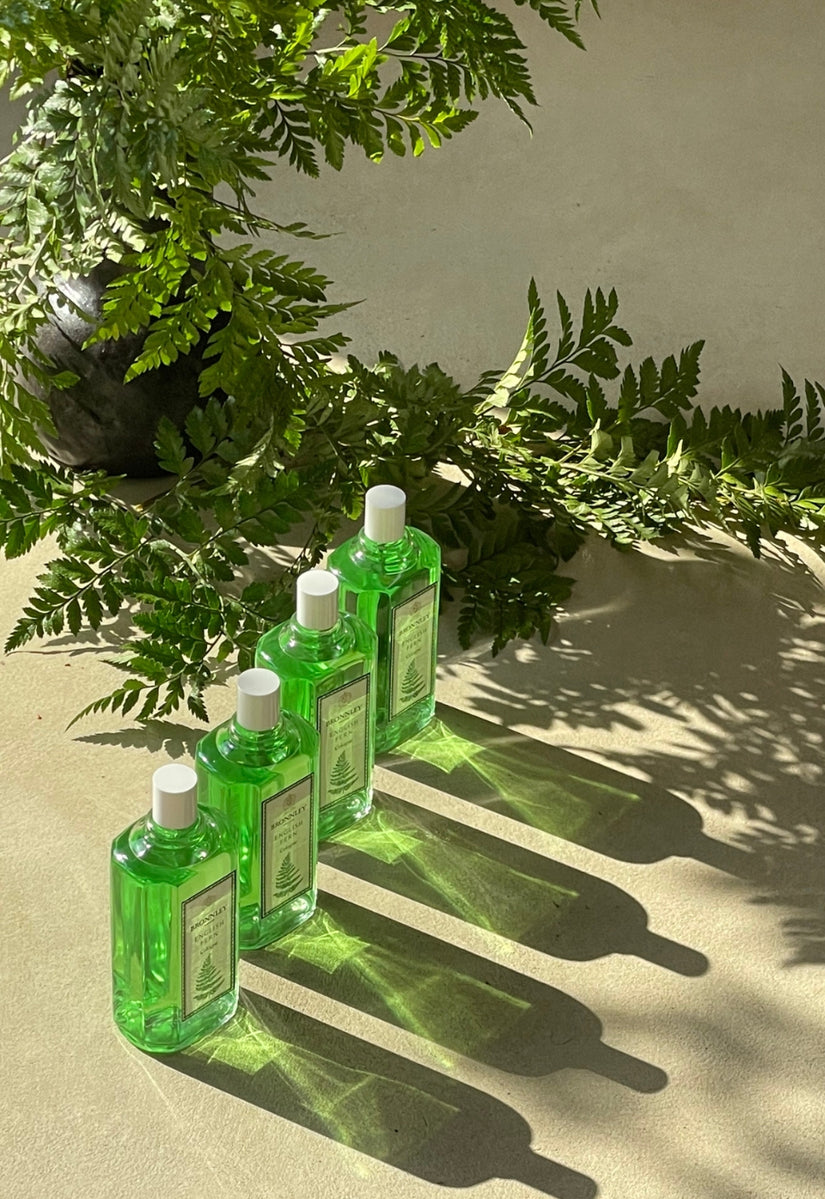 English Fern – Bronnley